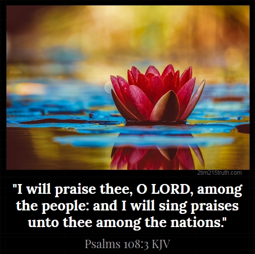2 Timothy 2 15 Truth Verse Of The Day Psalms 108 3 KJV 2-timothy-2-15-truth-verse-of-the-day-psalms-108-3-kjv