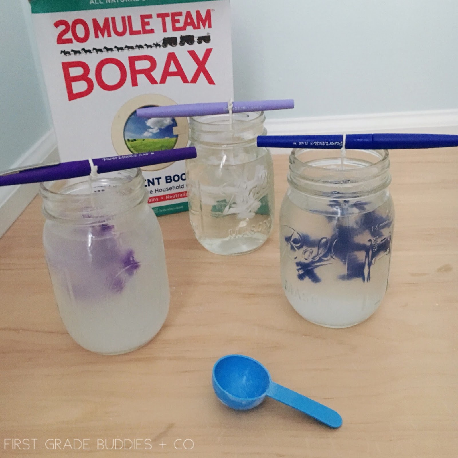 Simple Science: Crystal Snowflakes | First Grade Buddies