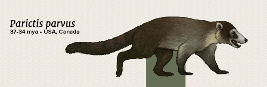 Primeval Online - Őslénytani Blog: Kolponomos: A macskaharapású vidramedve