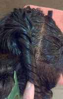 Ringlet Fandango: Temple Twirling Method (A Curl Set Tutorial)