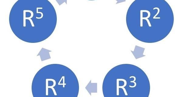 Práctica Profesional: Método 5R