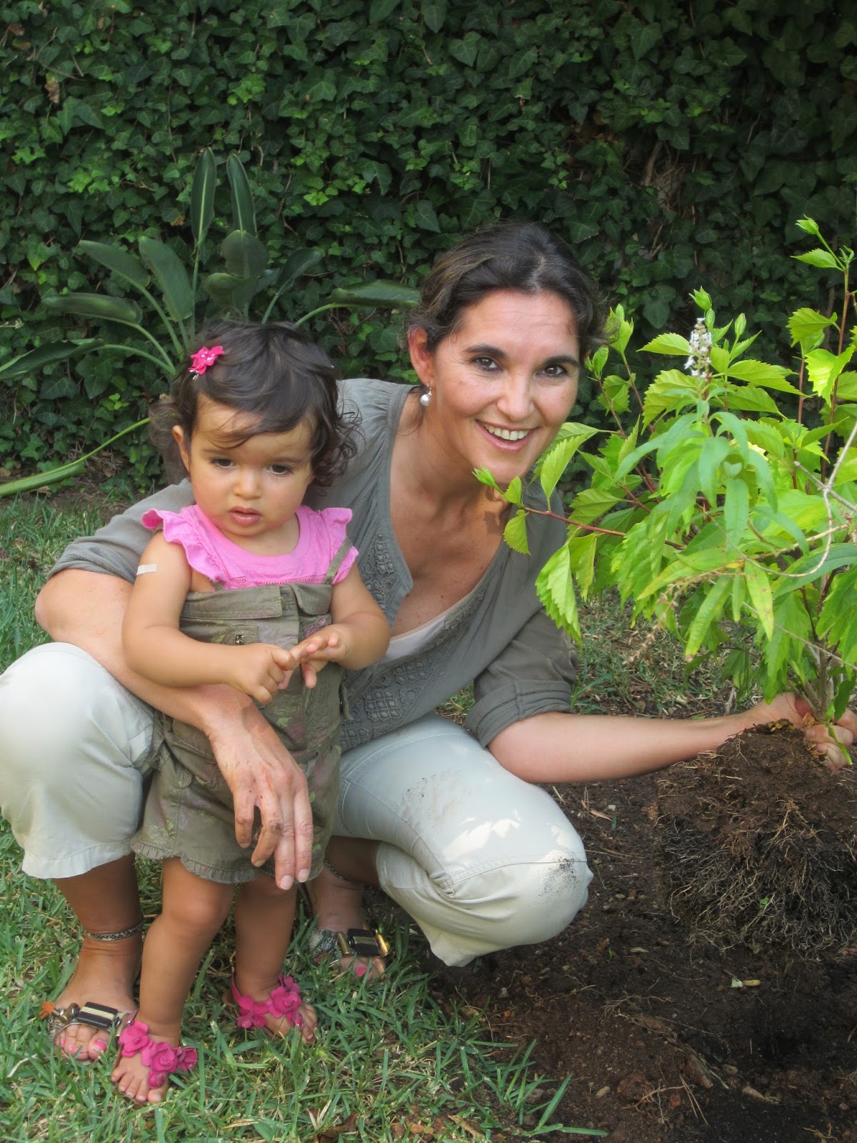 My Little Treasure Raise A Child Write A Book Plant A Tree My Little Treasure Raise A Child Write A Book Plant A Tree