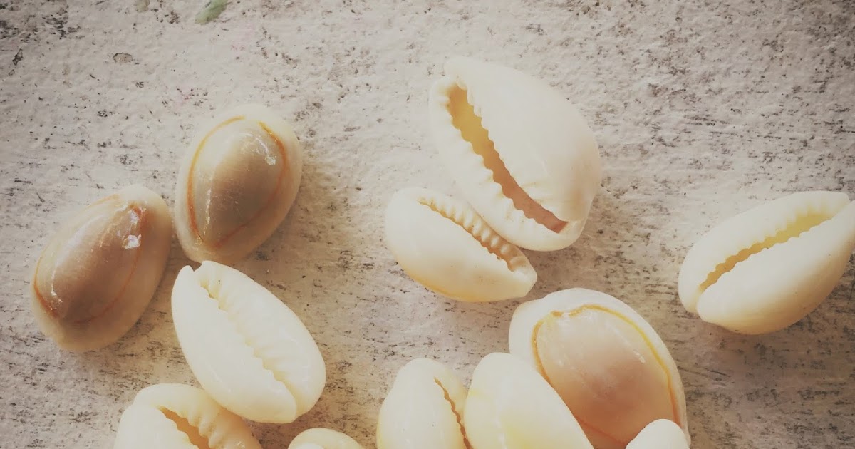 Cowrie Shells ~ Filipino Conjure & Rootwork