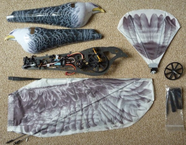 France ORNITHOPTERE - Oiseau Radiocommandé (rc ornithopter bird)