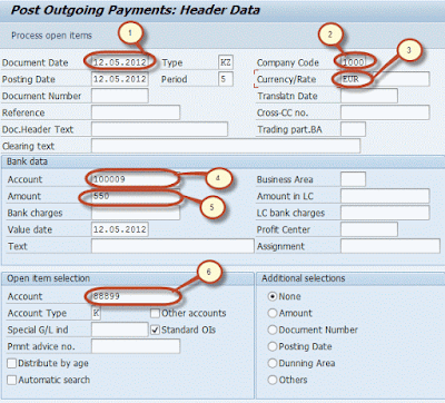 SAP FICO Central: How to post Outgoing Vendor Payment