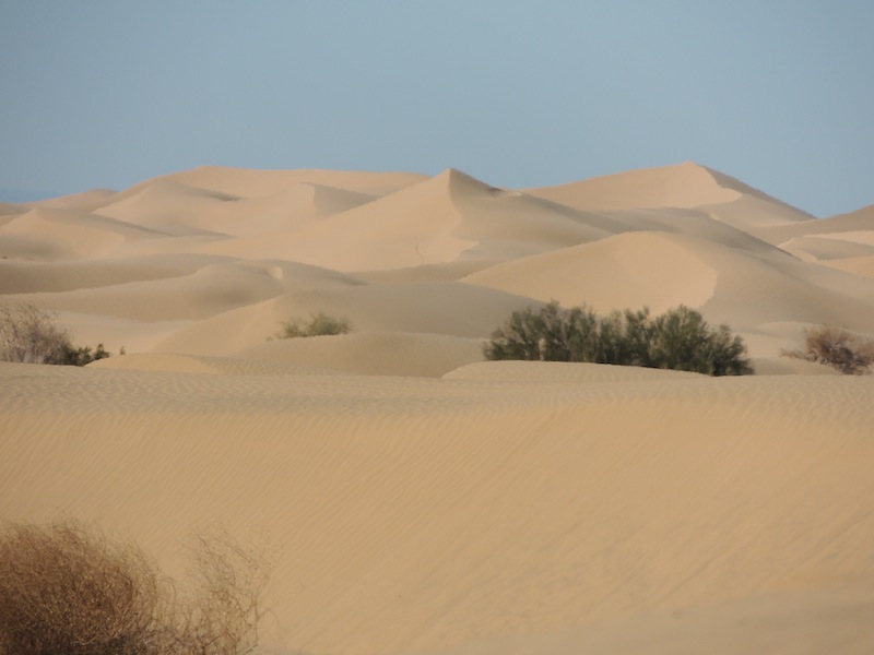 mnkcusa: Yuma AZ, Imperial Sand Dunes