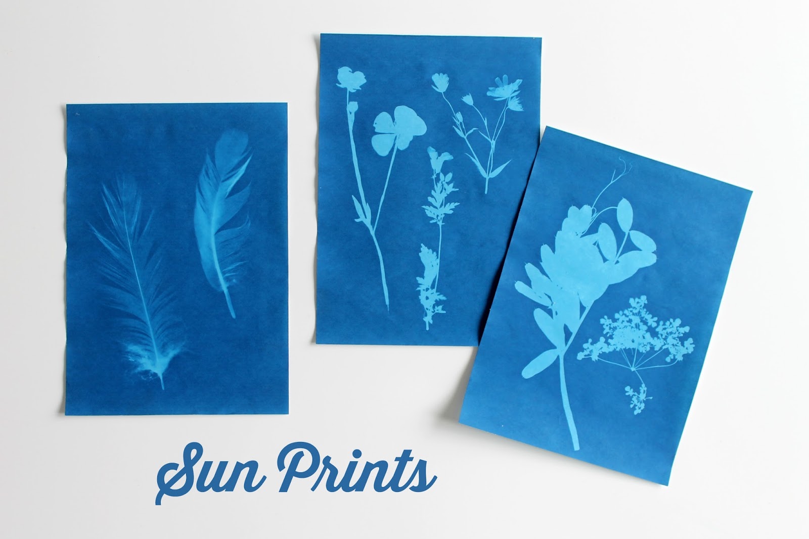 scraps of us : Sun prints... and a giveaway