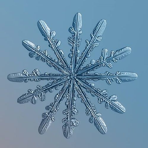 Heraldry of Life: ART with REAL SNOWFLAKES