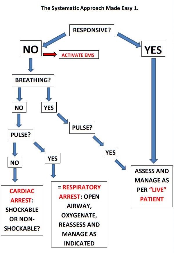 MedicEd makes it simple: The Systematic Approach Made Easy