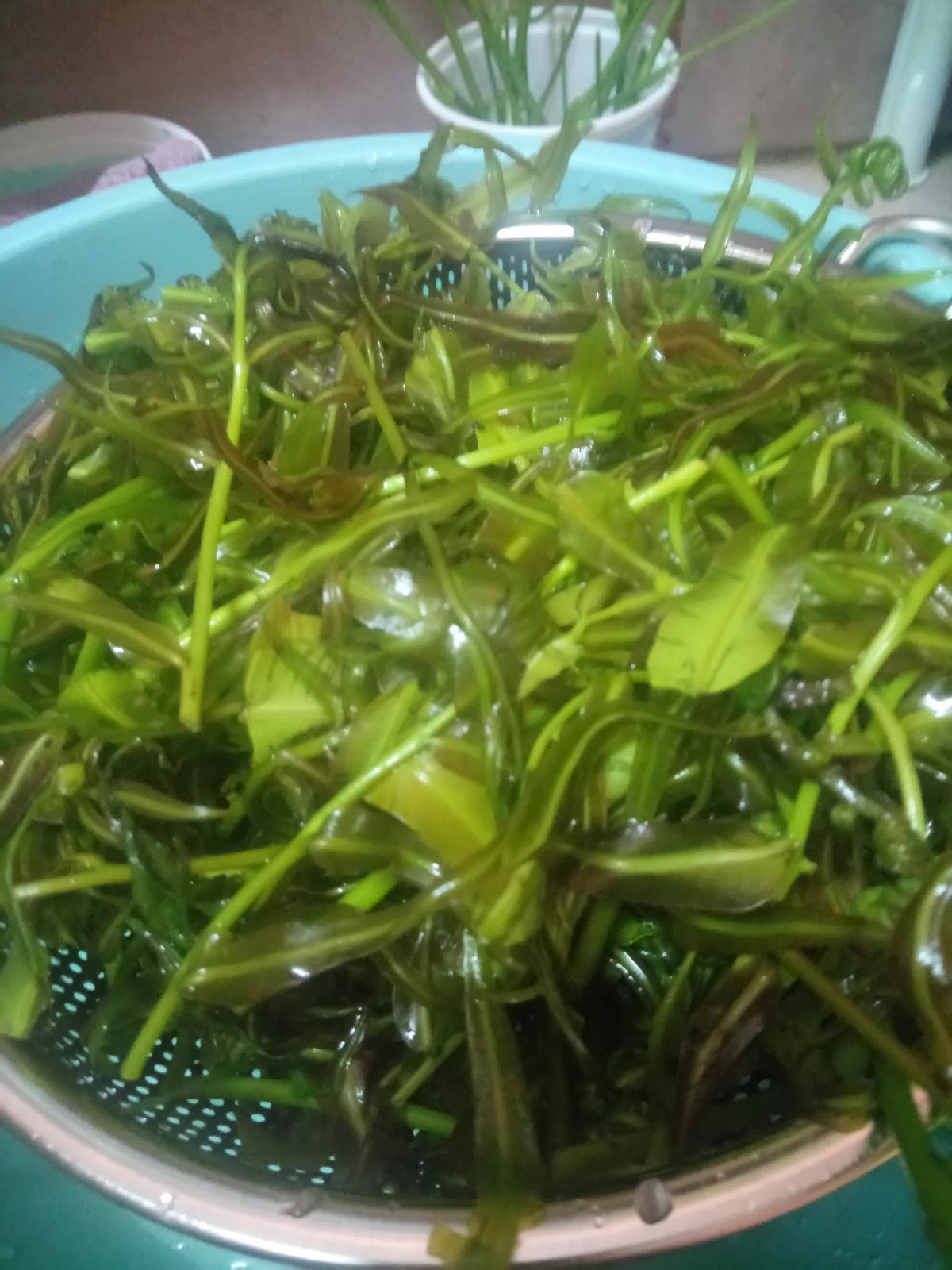 Beautiful Lie in a Beautiful Life: Sayur Midin