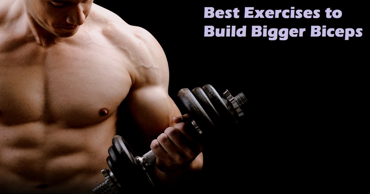 Muscle Palace: Top 5 Muscle-Building Biceps Exercises - Build Bigger ...