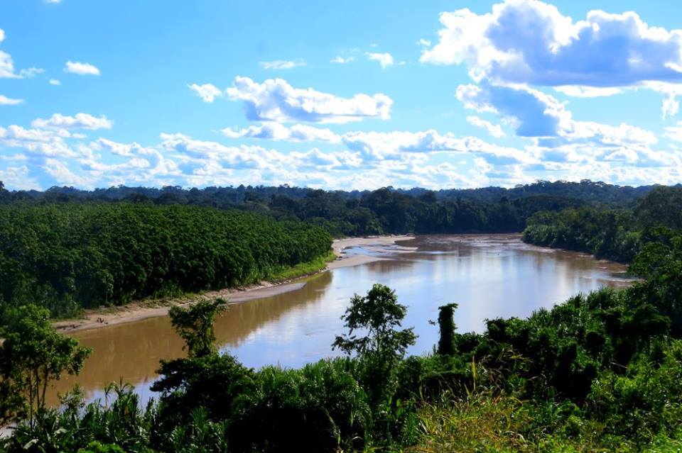 Parque Nacional Alto Purús