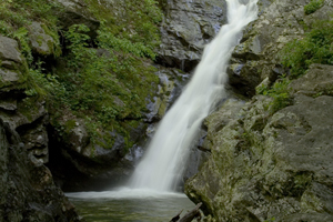 Guide to Shenandoah National Park and Skyline Drive: Crescent Rock ...