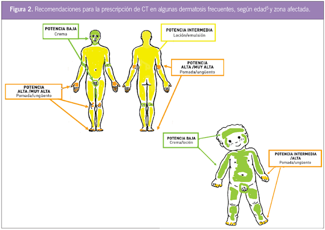 El blog de saname: Uso adecuado de los corticoides tópicos dermatológicos
