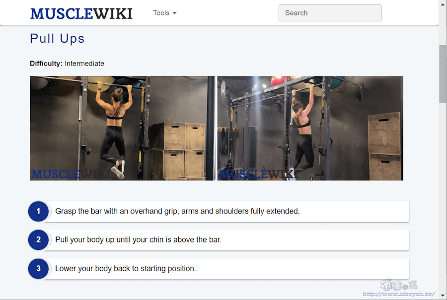 MuscleWiki 肌肉訓練示範教學網站，提供五種方式鍛煉全身各部位肌肉