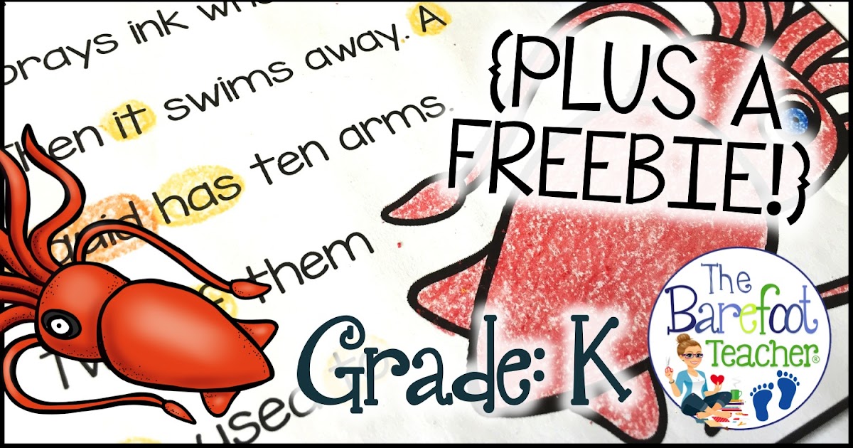Ocean Themed Reading Comprehension Pack Plus a FREE DOWNLOAD | The ...