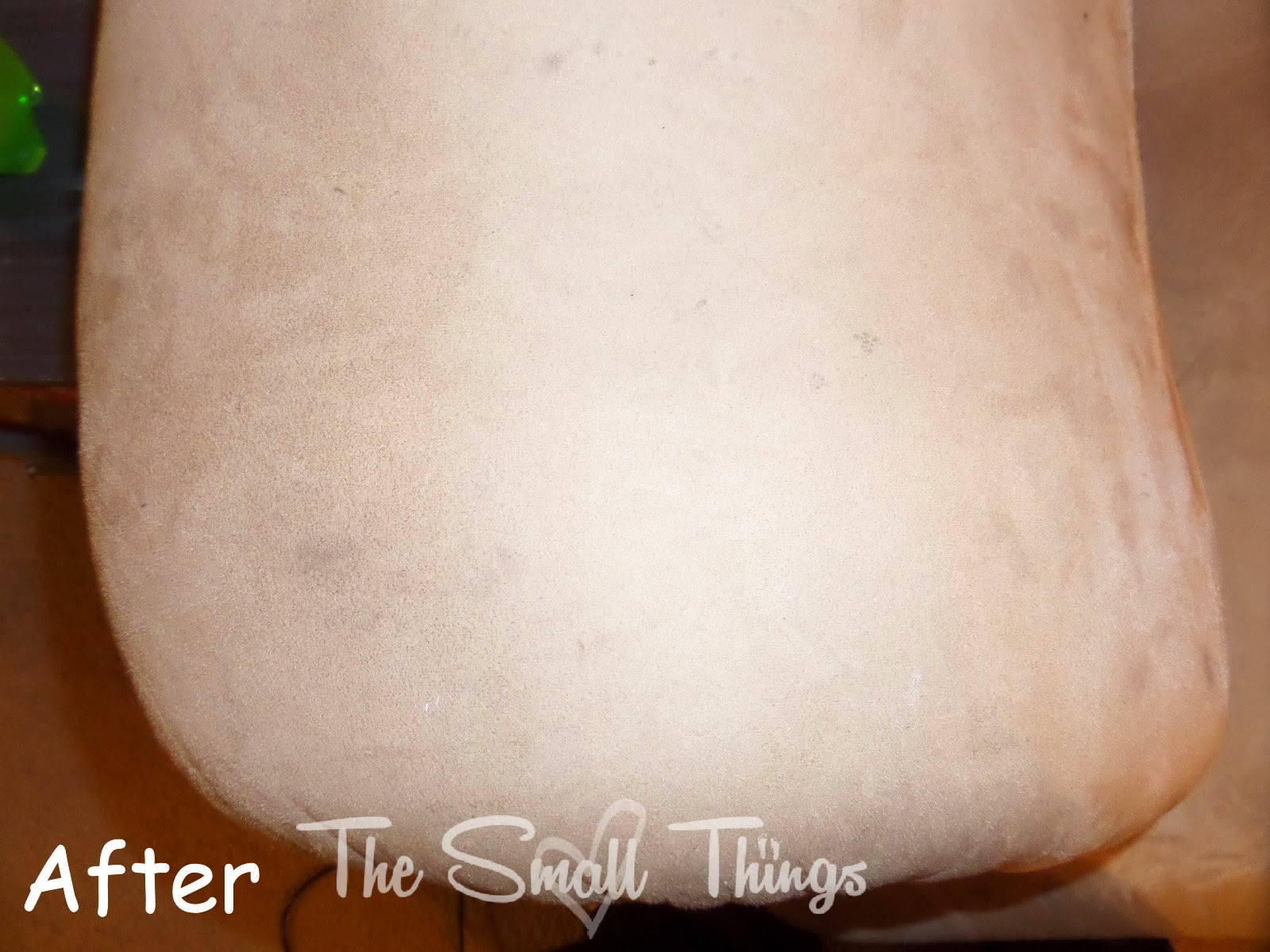 Genesis 950 Concentrate Cleaner Gallon/ Spray Bottle Review & Giveaway