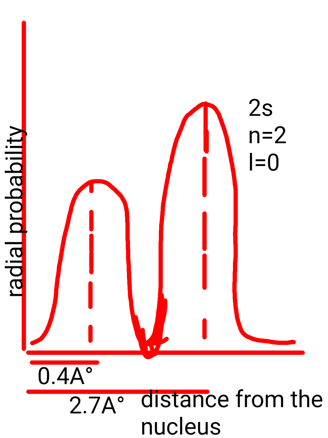 Radial probability distribution curves