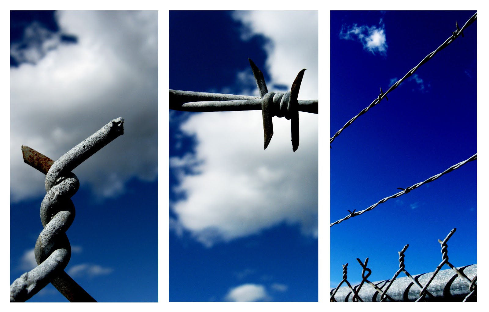 Emily's Photography Blog: Diptychs and Triptychs