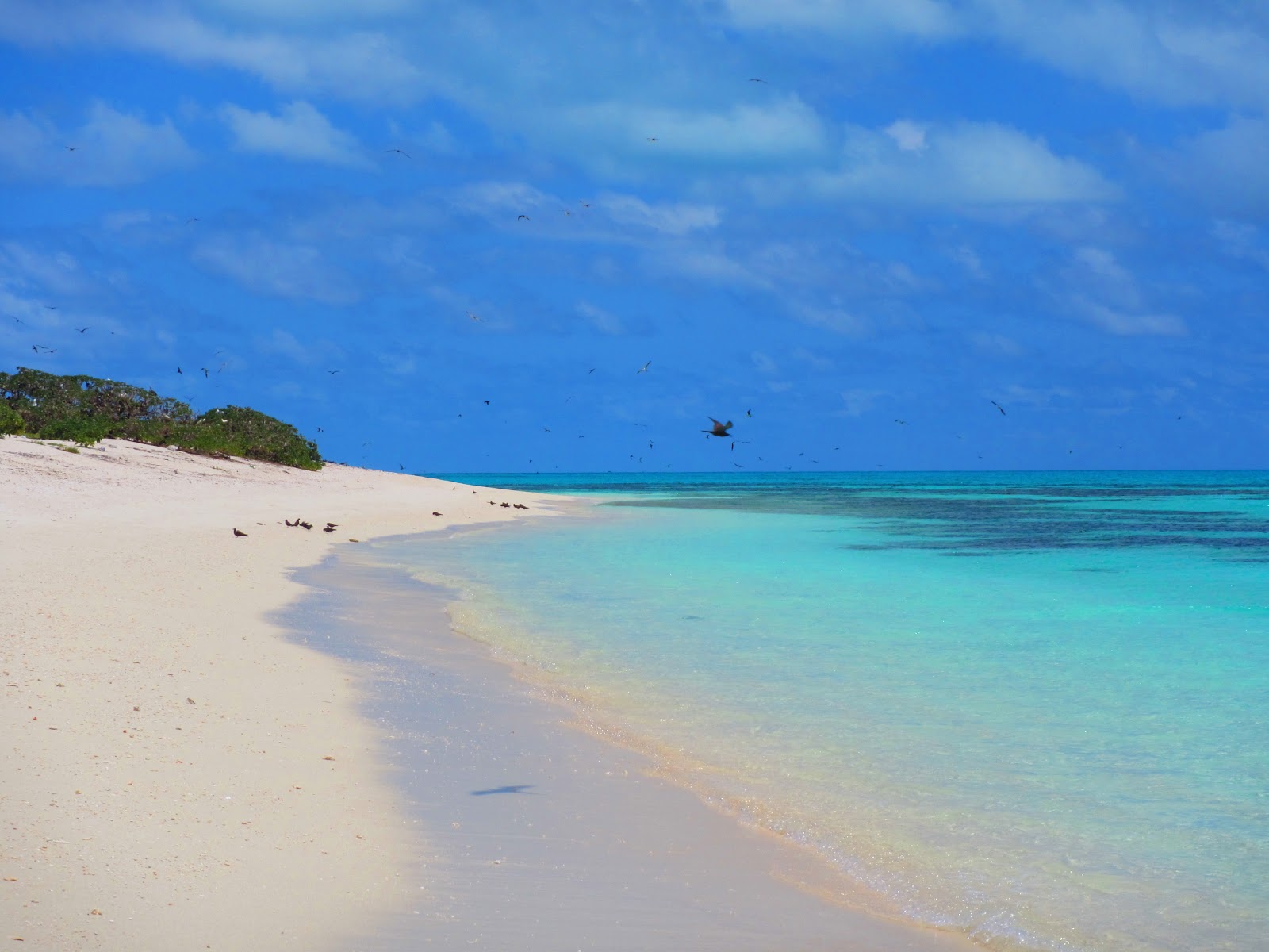 Corie Schneider: October 2012