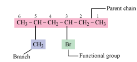 Revision Notes for Organic Chemistry Class 10 Chemistry ICSE