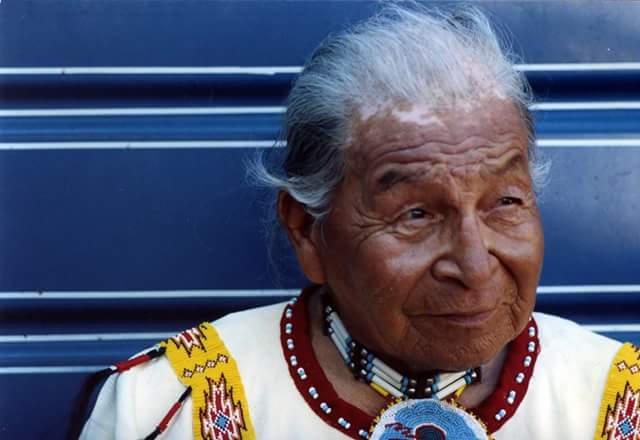White Wolf : Dances with Wolves actor Chief David Bald Eagle walks on at 97