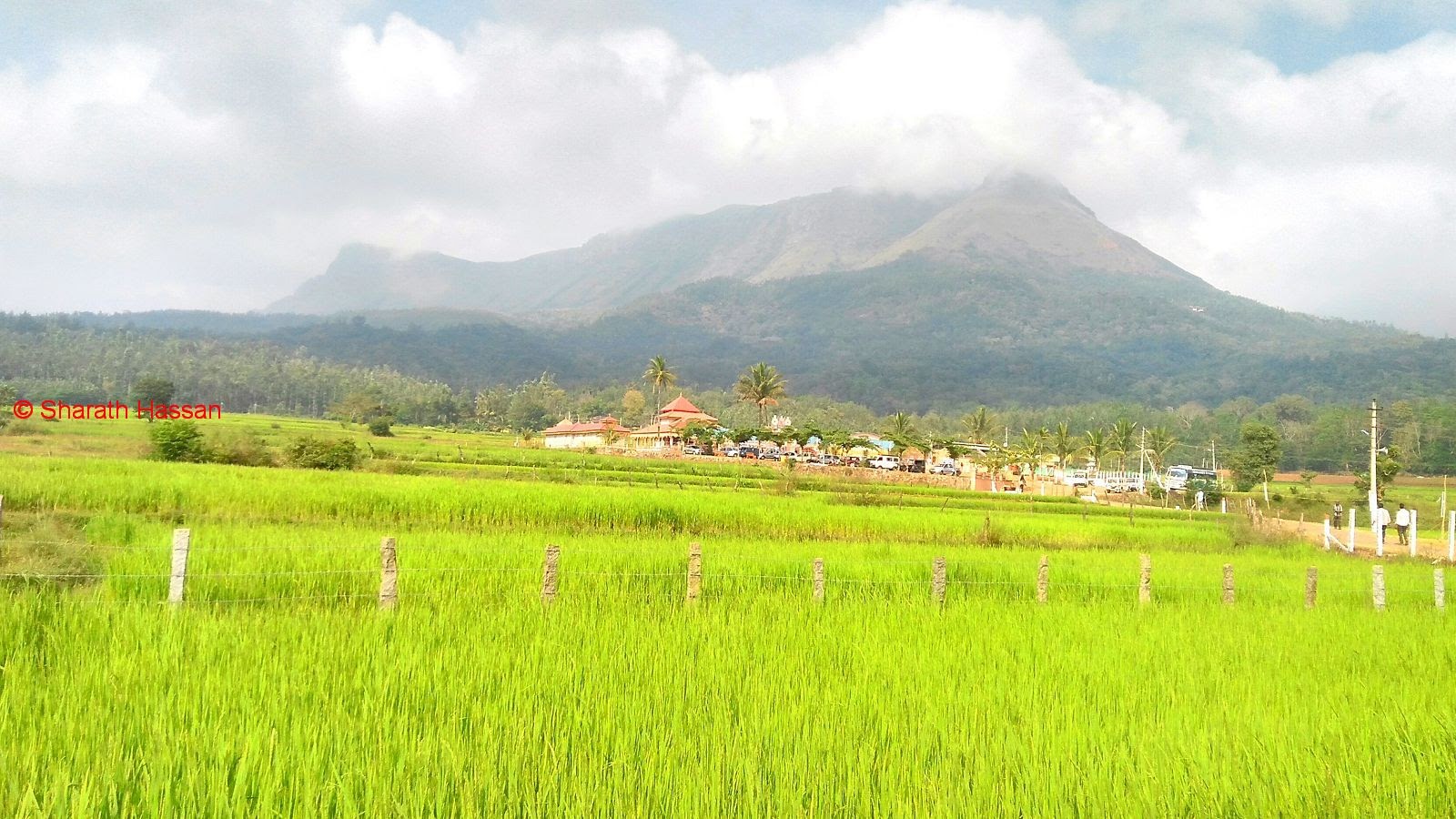 Sharath Hassan A Travelling Photographer: Deviramma Betta, Chikmagalur