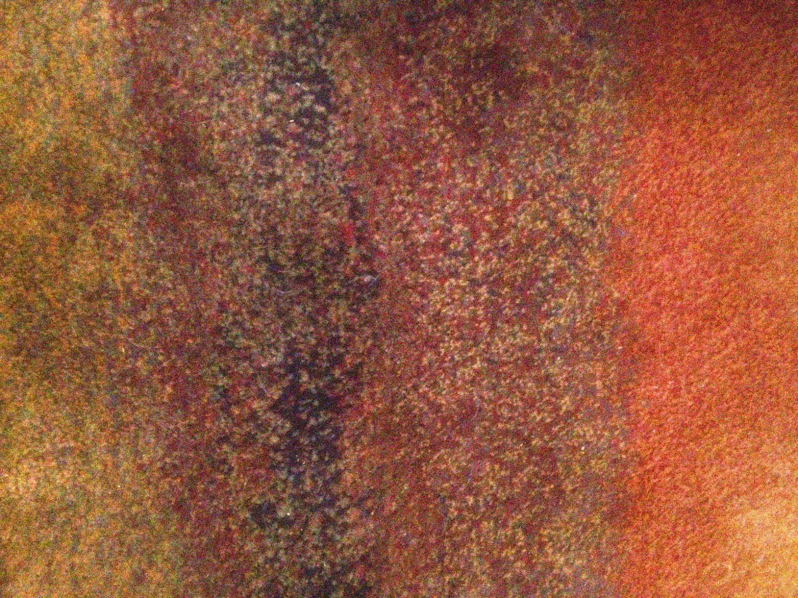 The Axioms of Success - Shawn Gregory: Axiom 40: Color Psycology