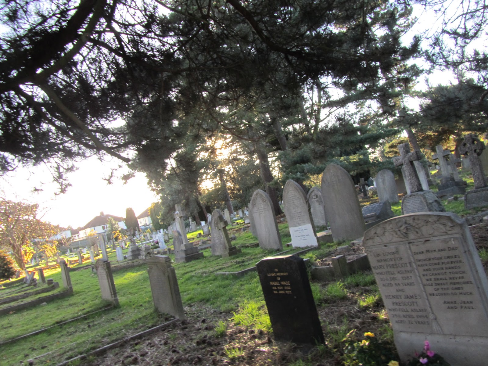 M.E.S.S. Media: Photos of A Graveyard (Location)