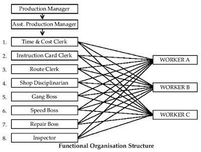 MANAGEMENT PORTAL: Functional Organisation Structure
