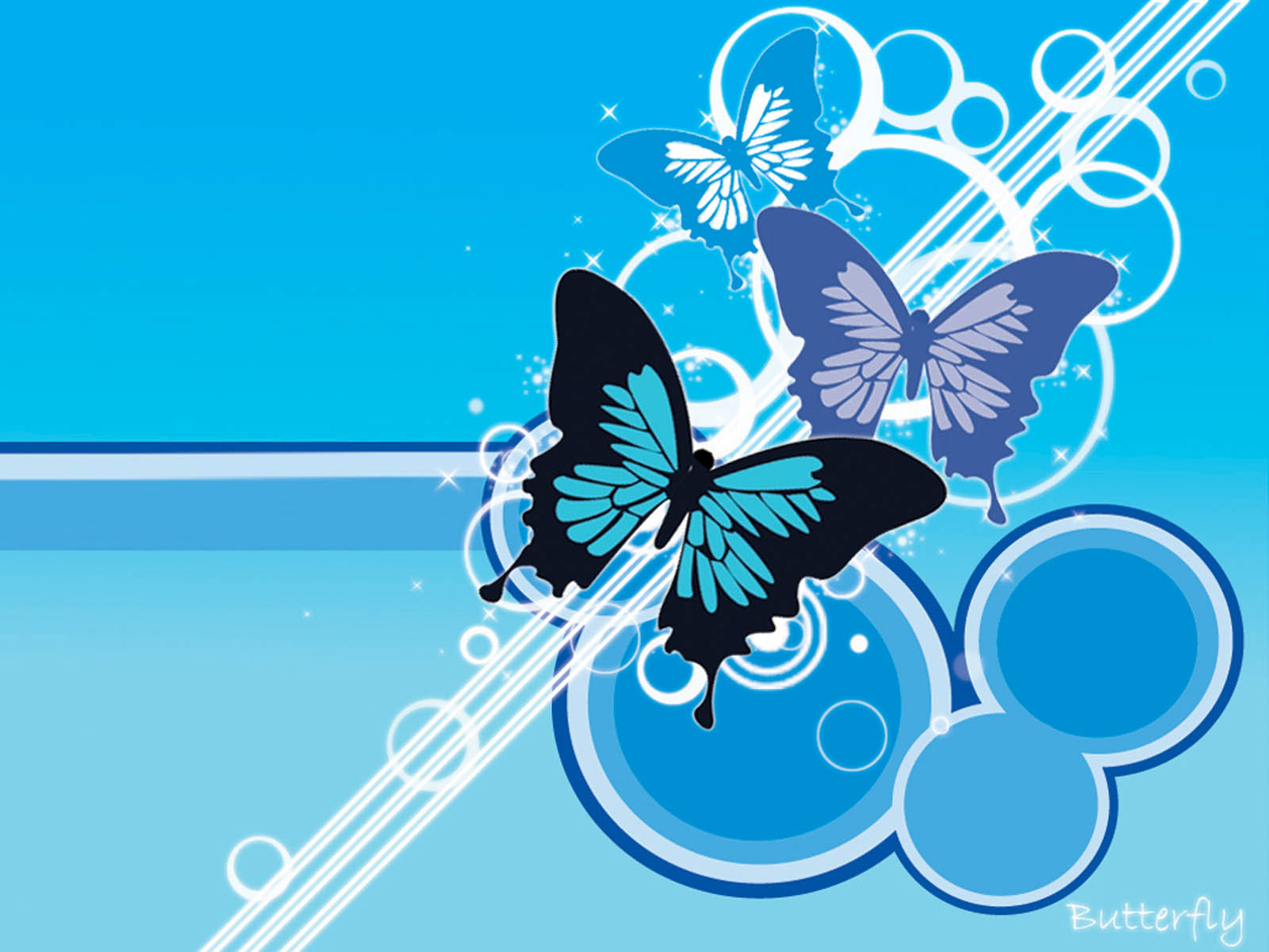 Beautiful Wallpaper: Vector Butterfly Wallpapers