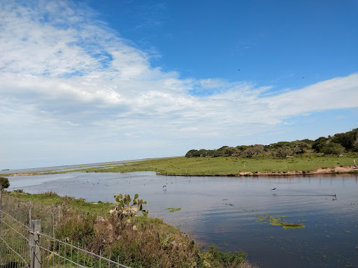 Profa.Msa. PathyGeo: RESERVA DO TAIM