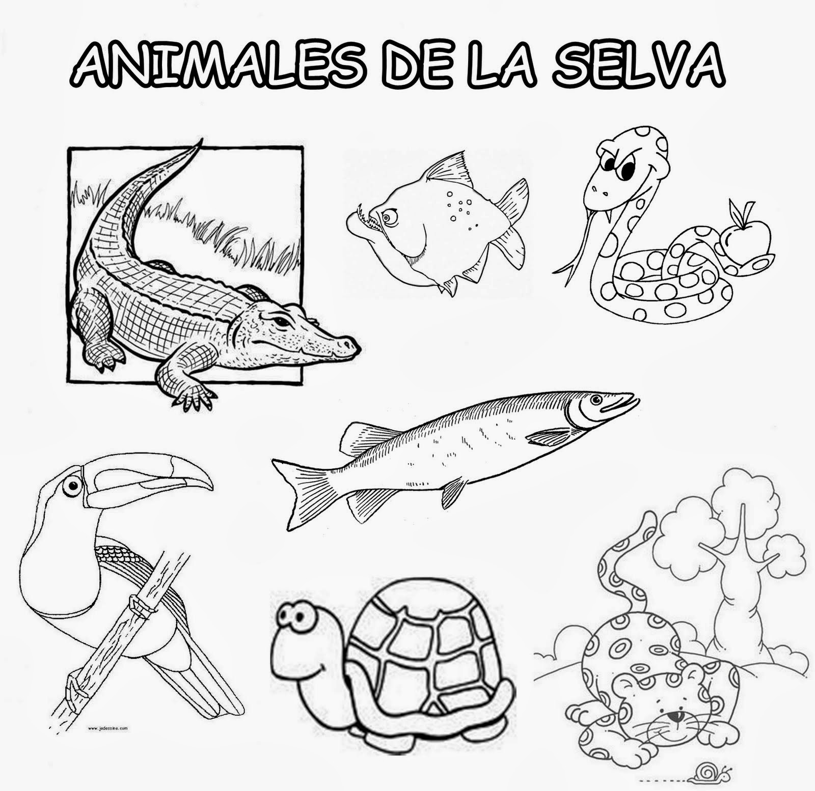 La naturaleza con niños: Las selvas y los desiertos