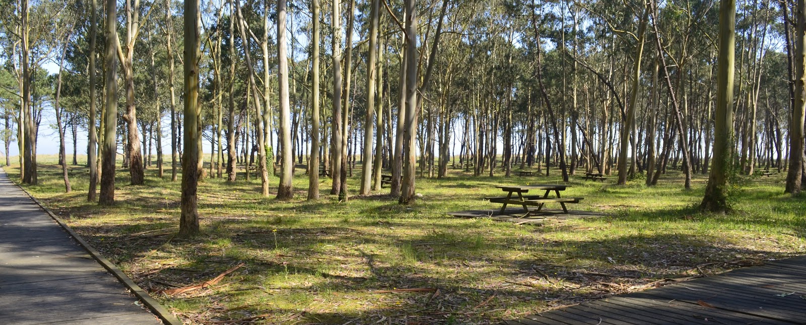España te sienta bien: Playa de Rodiles