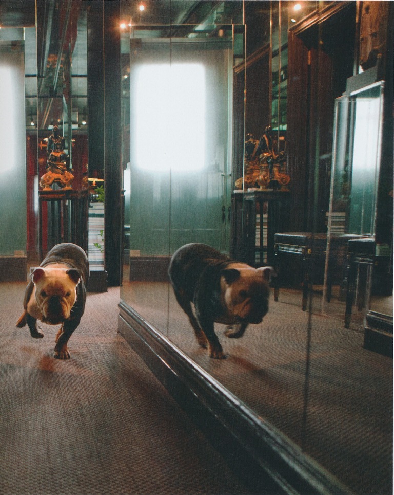 The Peak of Chic®: Autobiography of a Fashion Designer Ralph Rucci