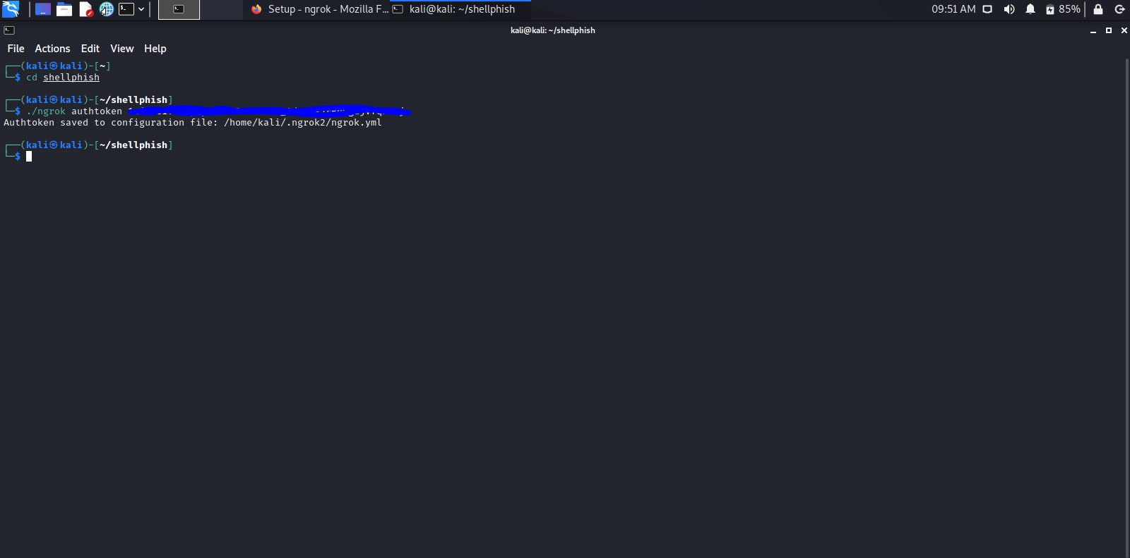 How to connect ngrok auth token to shellphisher