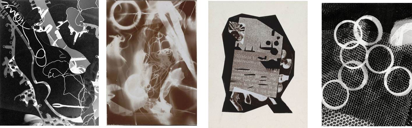 Andy Photography: Photograms
