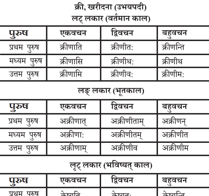 क्री धातु के रूप संस्कृत में – Kri Dhatu Roop In Sanskrit | HindiVyakran