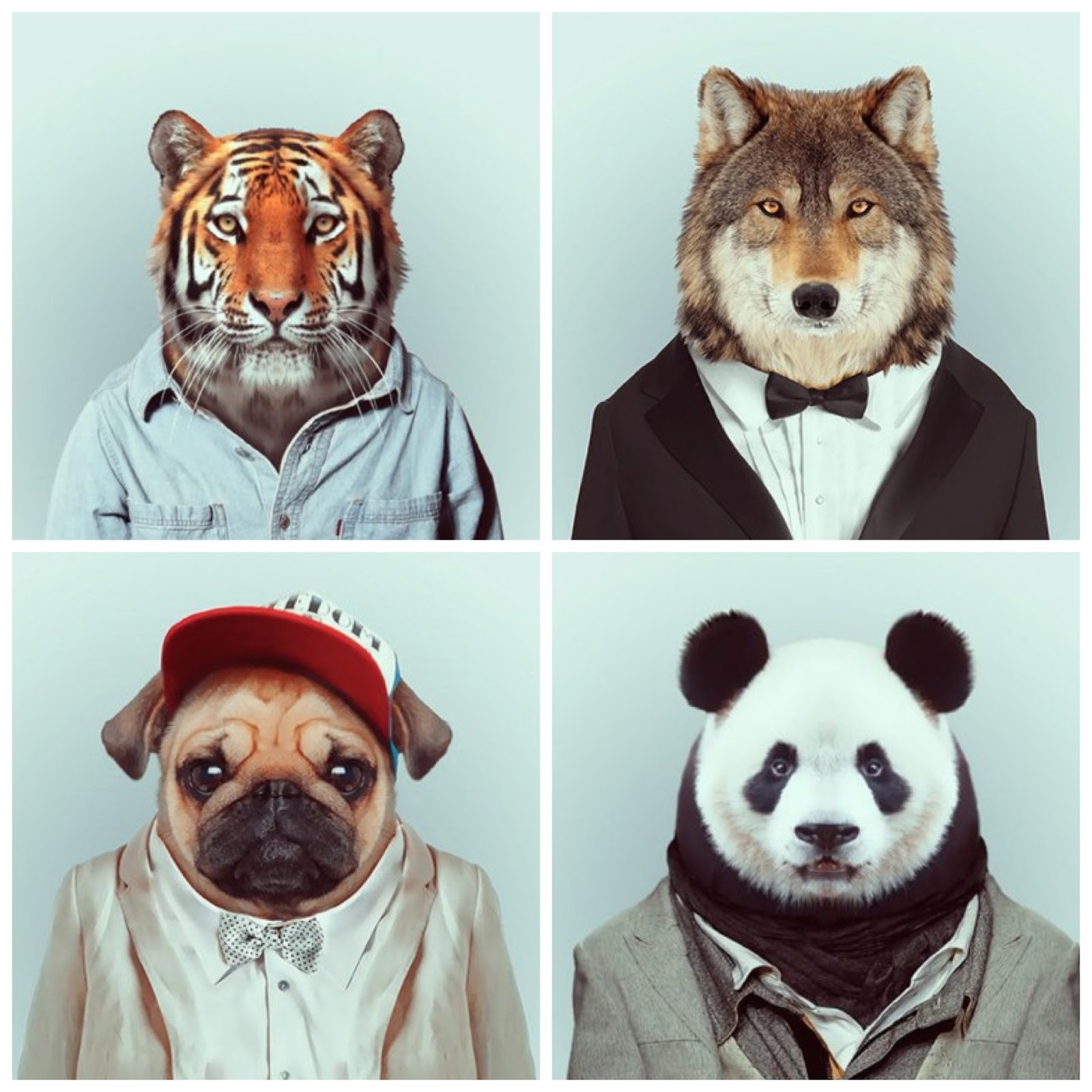 Fashion Zoo Animals - Campus Mercante