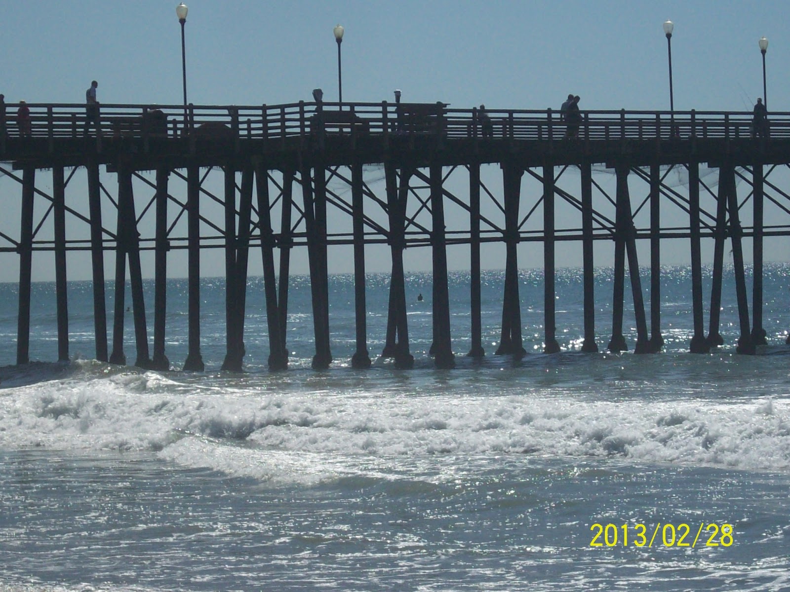 Lone Ocean Swimmer, Oceanside, CA: Oceanside Rough Water Swim