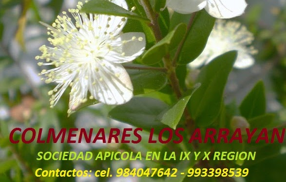COLMENARES LOS ARRAYANES