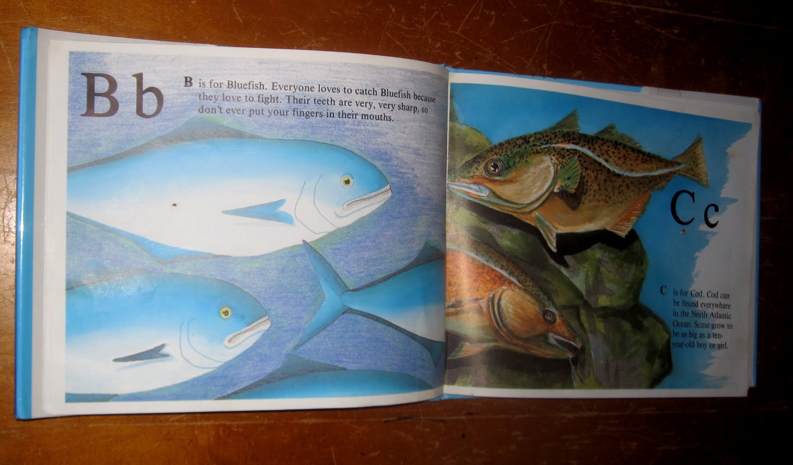 10engines: parenting -the ocean alphabet book