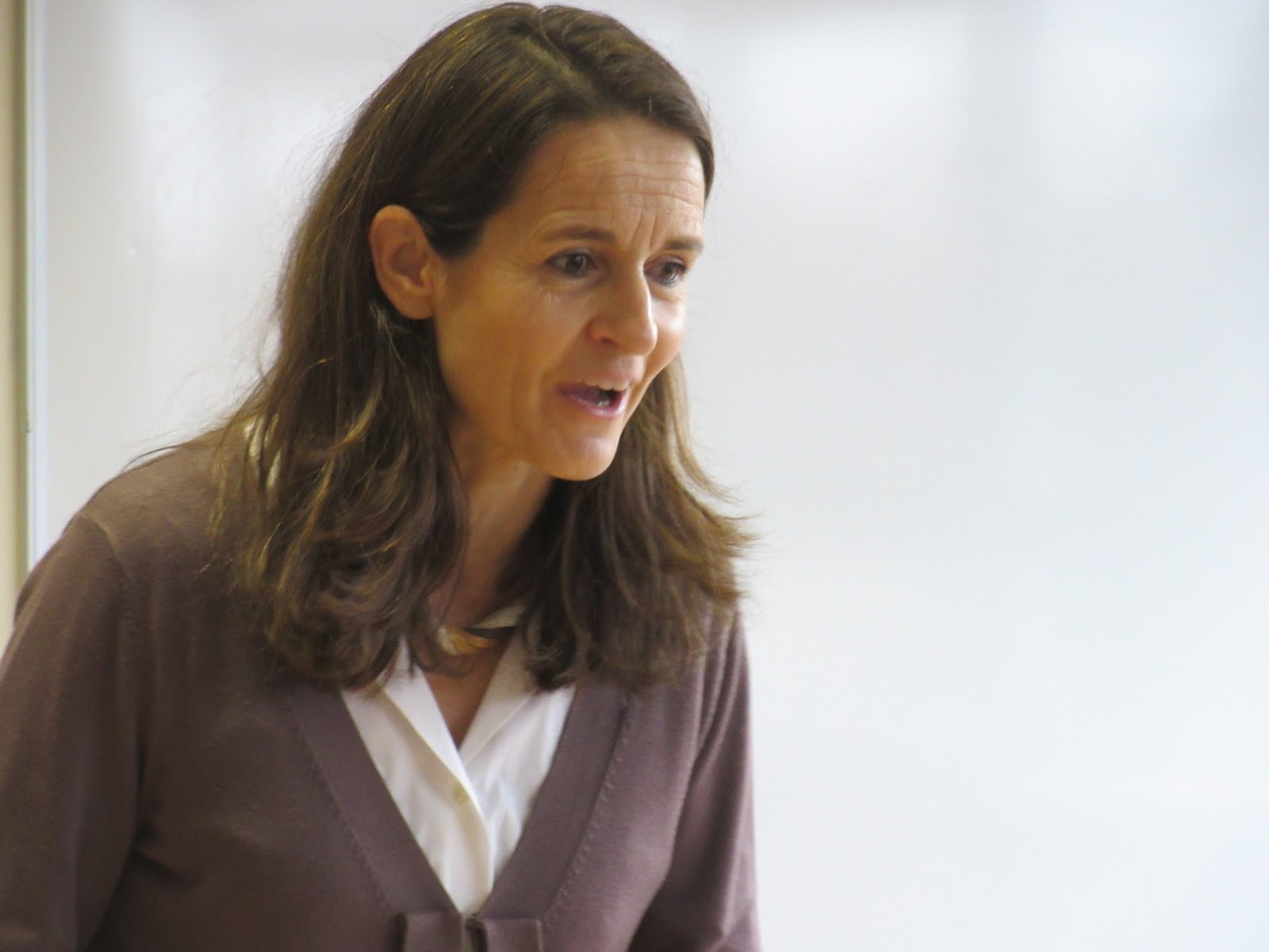 Escola Constituição Porto: Encontro com a escritora Manuela Mota Ribeiro II