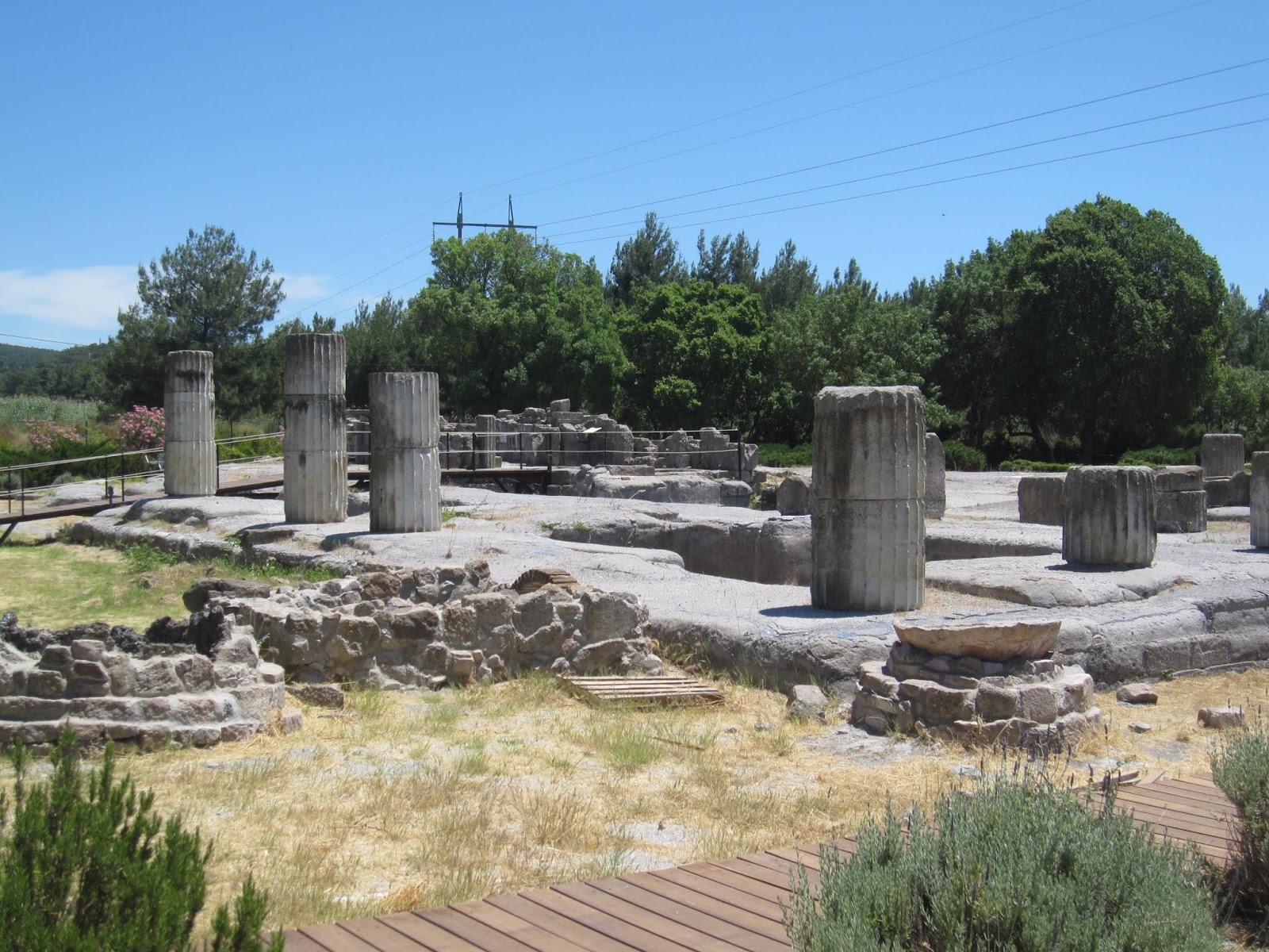 Searching for Aristotle in Lesbos