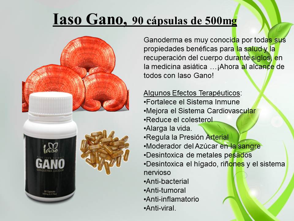 Belleza y Salud con Paty Ayala: Los Beneficios del Ganoderma Lucidum