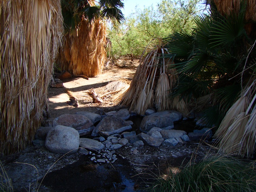 Geotripper: Water in a Dry Land: Joshua Tree National Park, and why ...