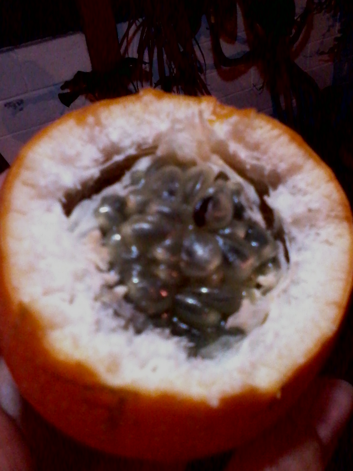 Tiger in our Car.: Zombie Fruit