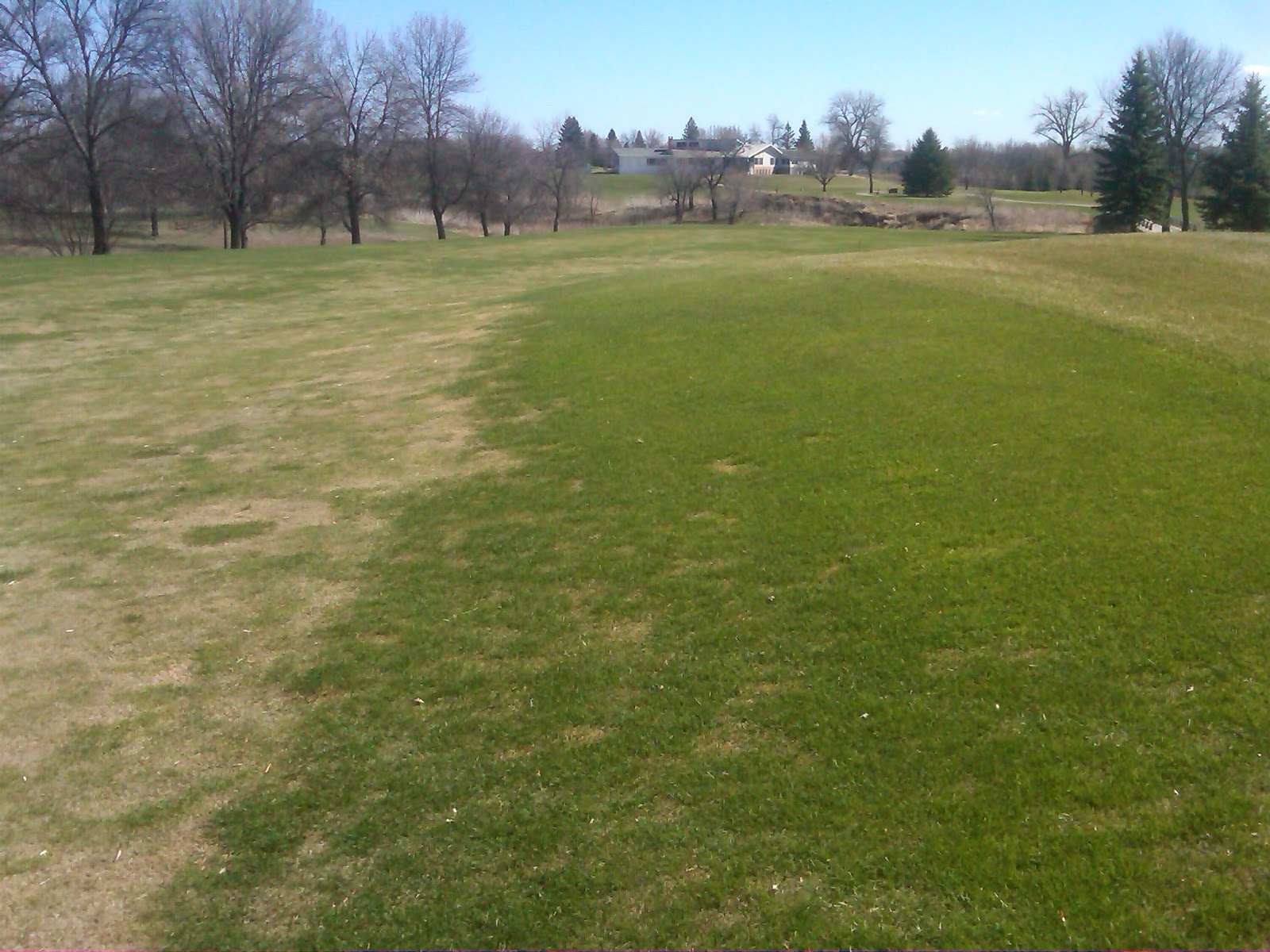 GFCC: Turfgrass Physiology and Pathology 101