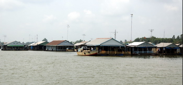 Tìm hiểu về nuôi cá tra bè | Kỹ Thuật Nuôi Trồng.com