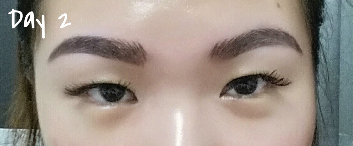 thegirlsinsaneeats: Eyebrow Embroidery Healing Process